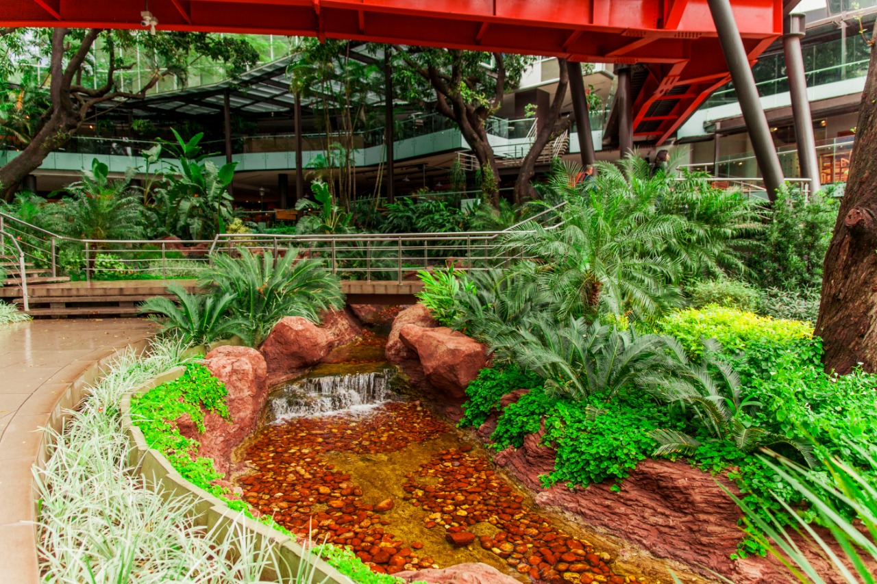 Galeria - Paseo La Galeria