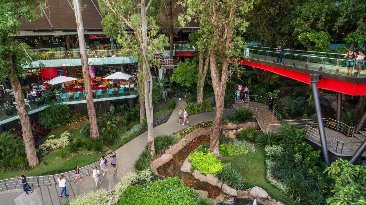 Galeria - Paseo La Galeria